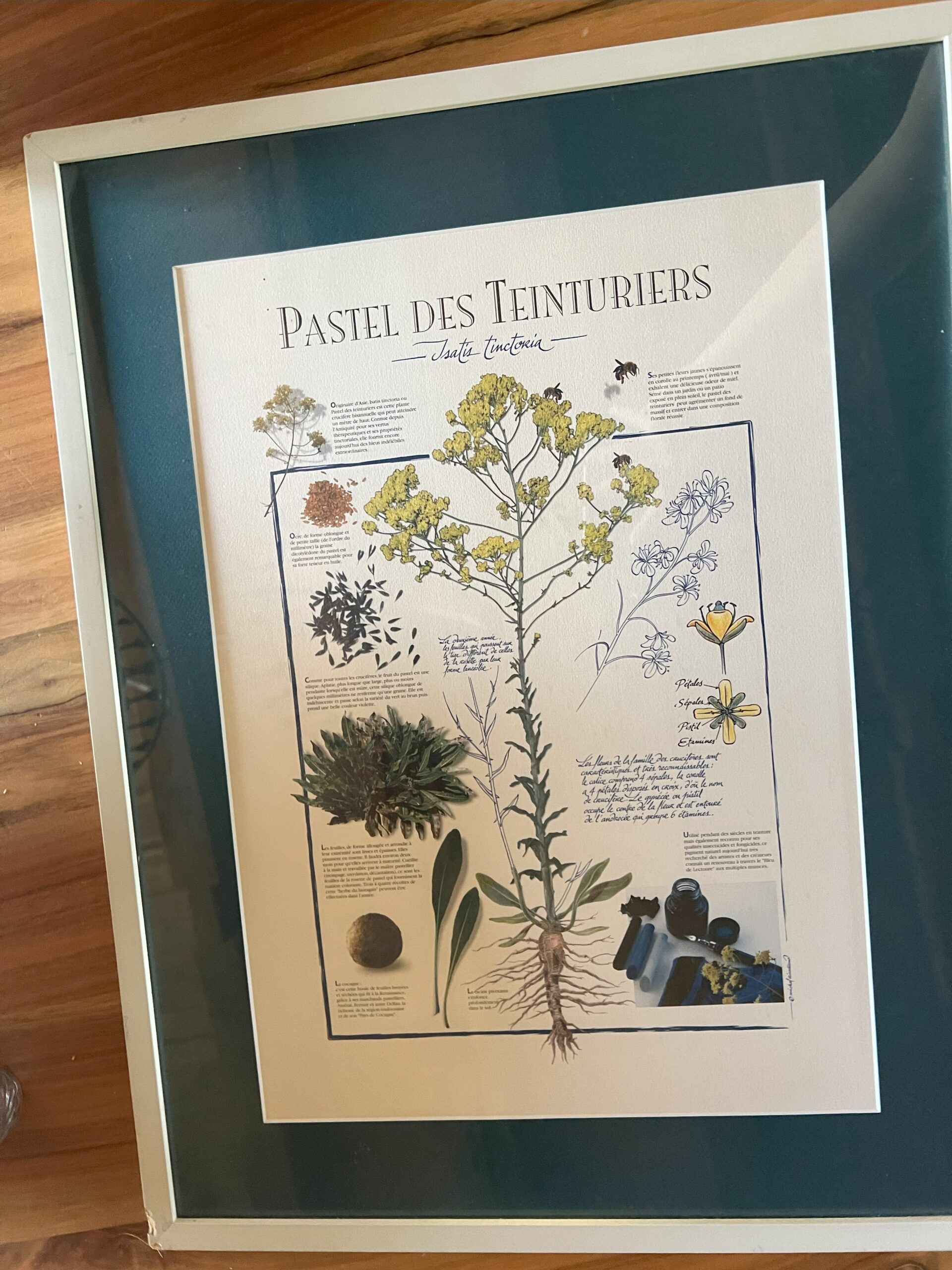 Finding Inspiration: The Art of Woad Dyeing - Lindsey Putzier Design Studio