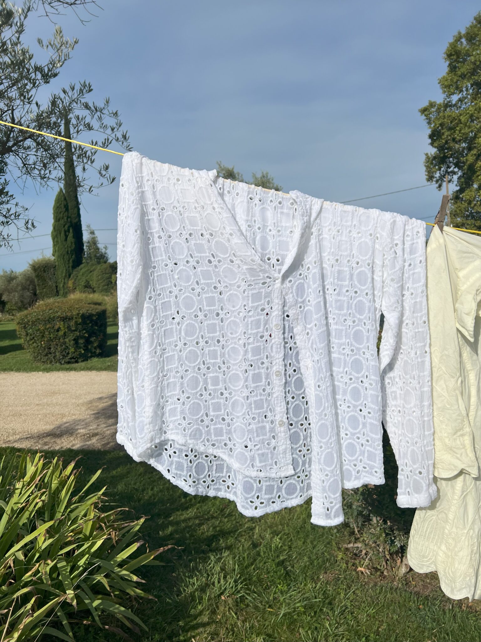 Finding Inspiration: The Art of Woad Dyeing - Lindsey Putzier Design Studio